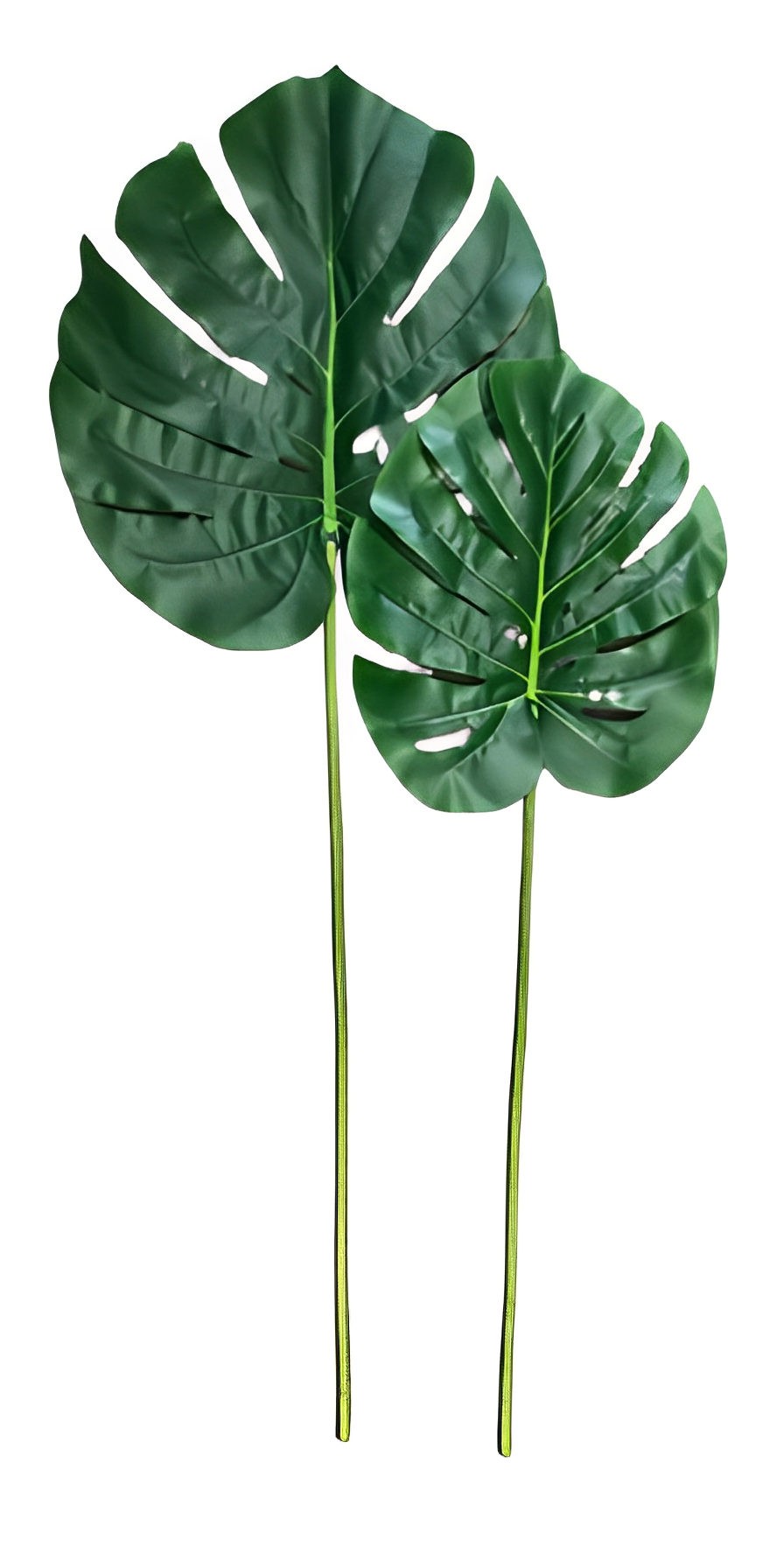 Artificial Delicious Monster Wild Leaf (Open Leaf) – Green Design